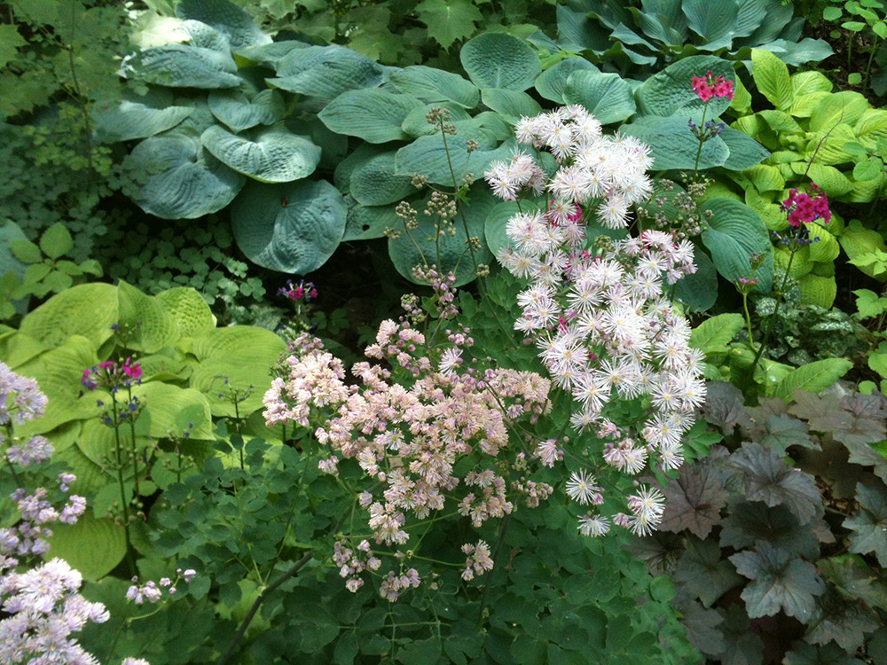 About – Anna Crabtree